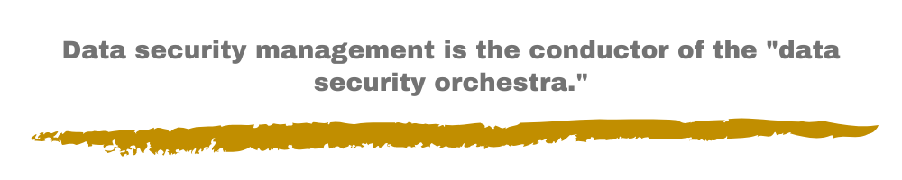 What Is Data Security Management? An Introductory Guide