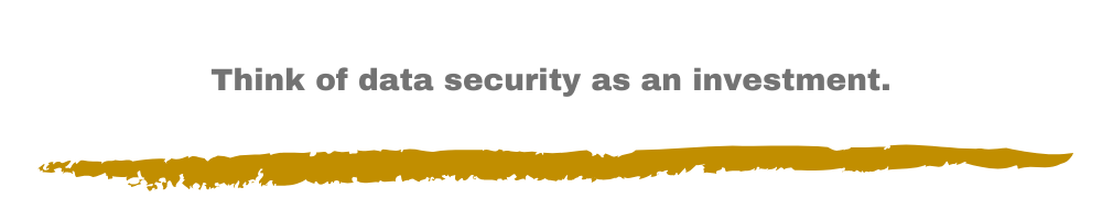 What Is Data Security Management? An Introductory Guide