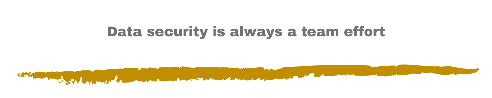 What Is Data Security Management? An Introductory Guide