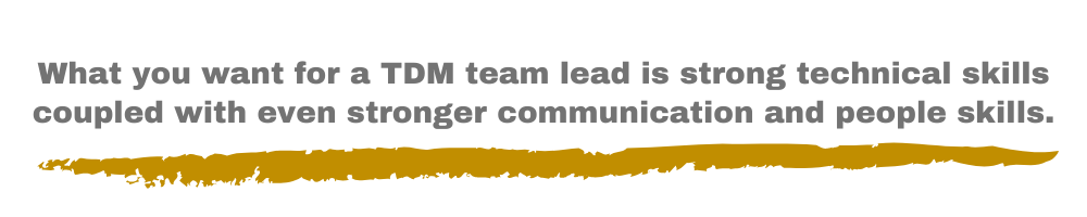 How to Organize a Test Data Management Team - DataOpsZone